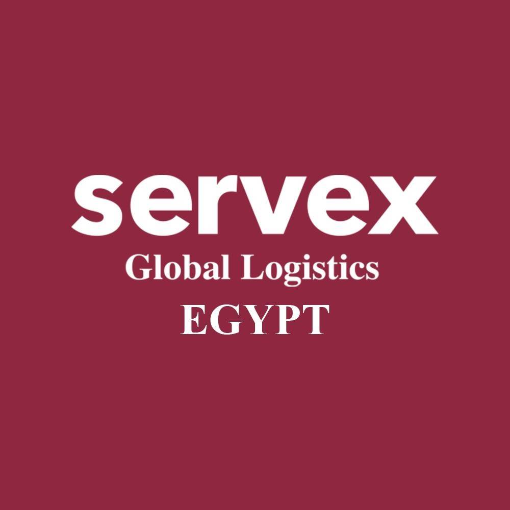 Customs Clearance – servex Global Logistics Egypt